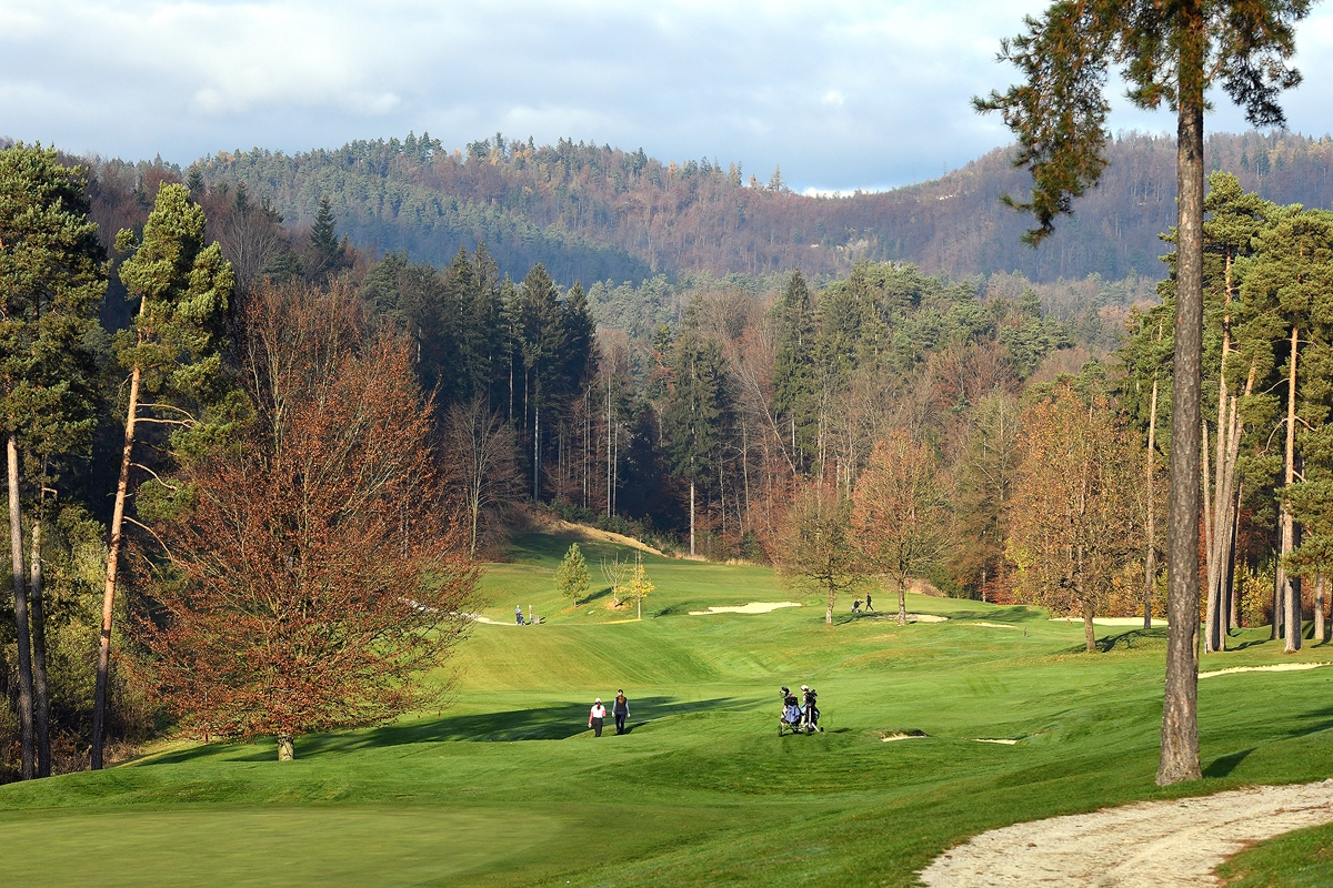 Golf Arboretum | European Golf Association