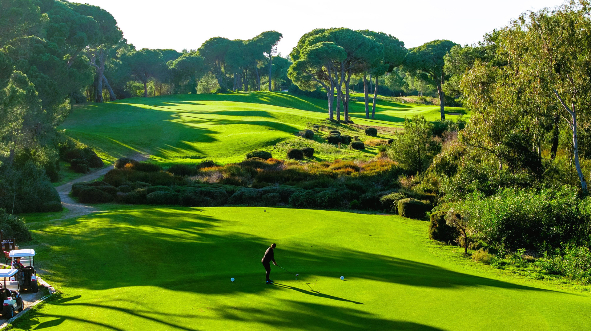 European Senior Men's Championship | European Golf Association